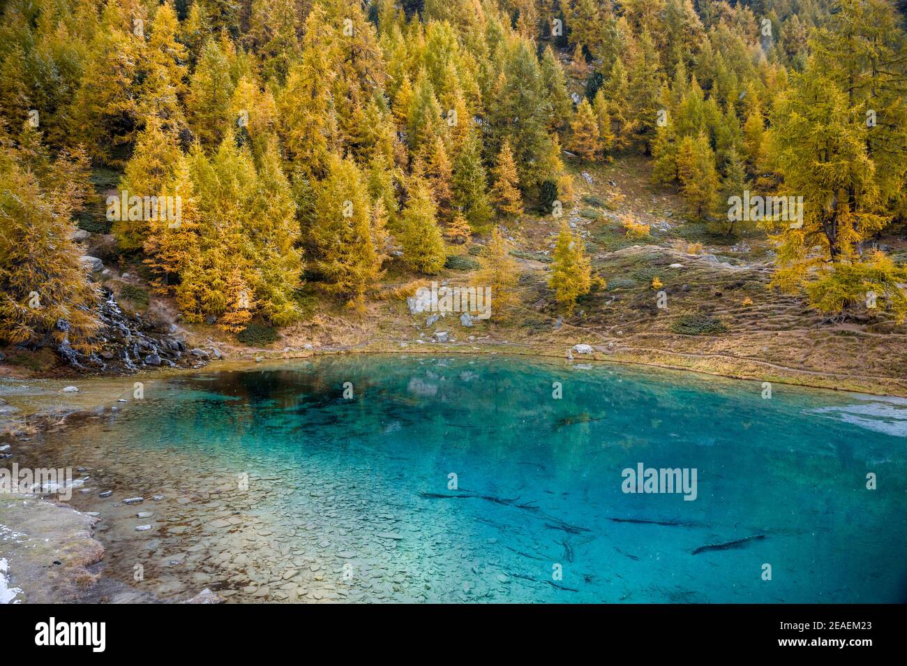 fall magic with blue moutain lake and yellow larches at Arolla, Val d ...