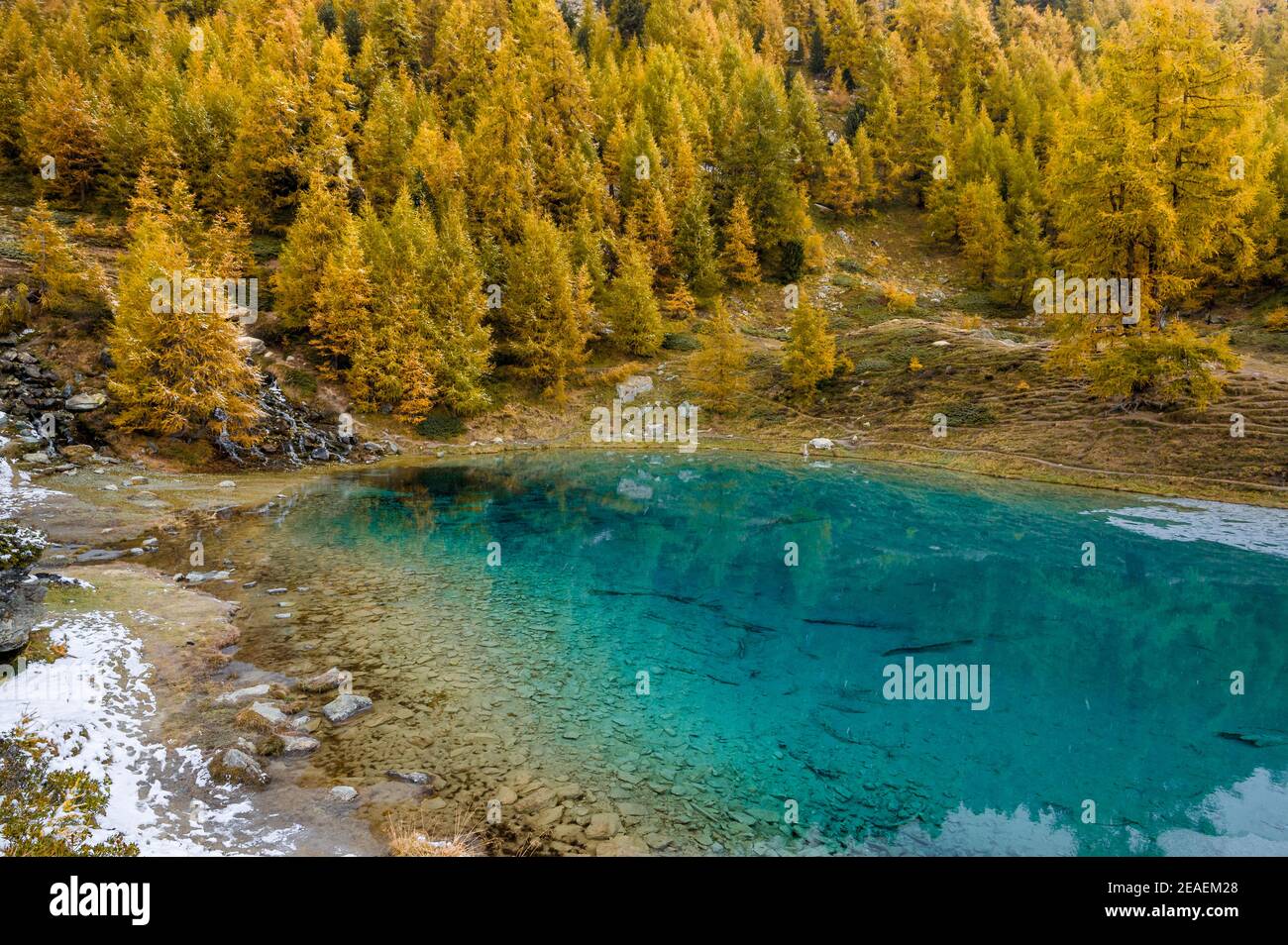 Natural color contrast hi-res stock photography and images - Alamy