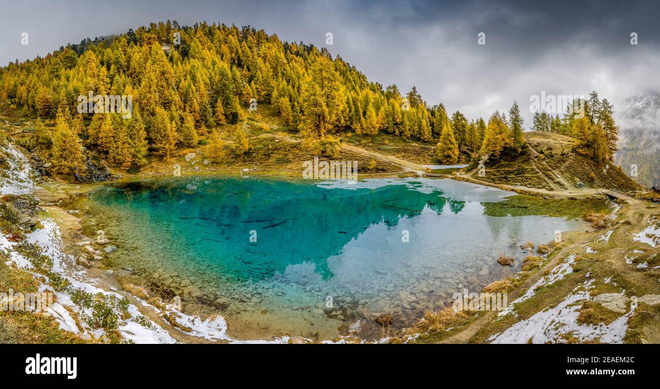 magical blue Lac Bleu with yellow larches in autumn at Arolla, Val d ...