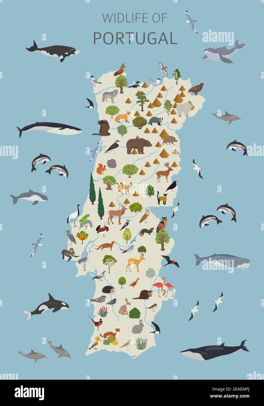 Mediterranean monk seal Stock Vector Images - Alamy