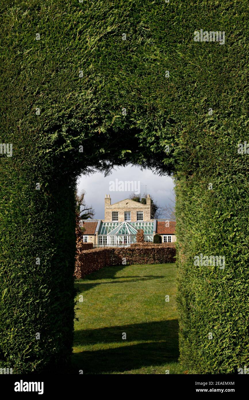 view through Leylandii colonnade to Hare Hall at Chippenham Park ...