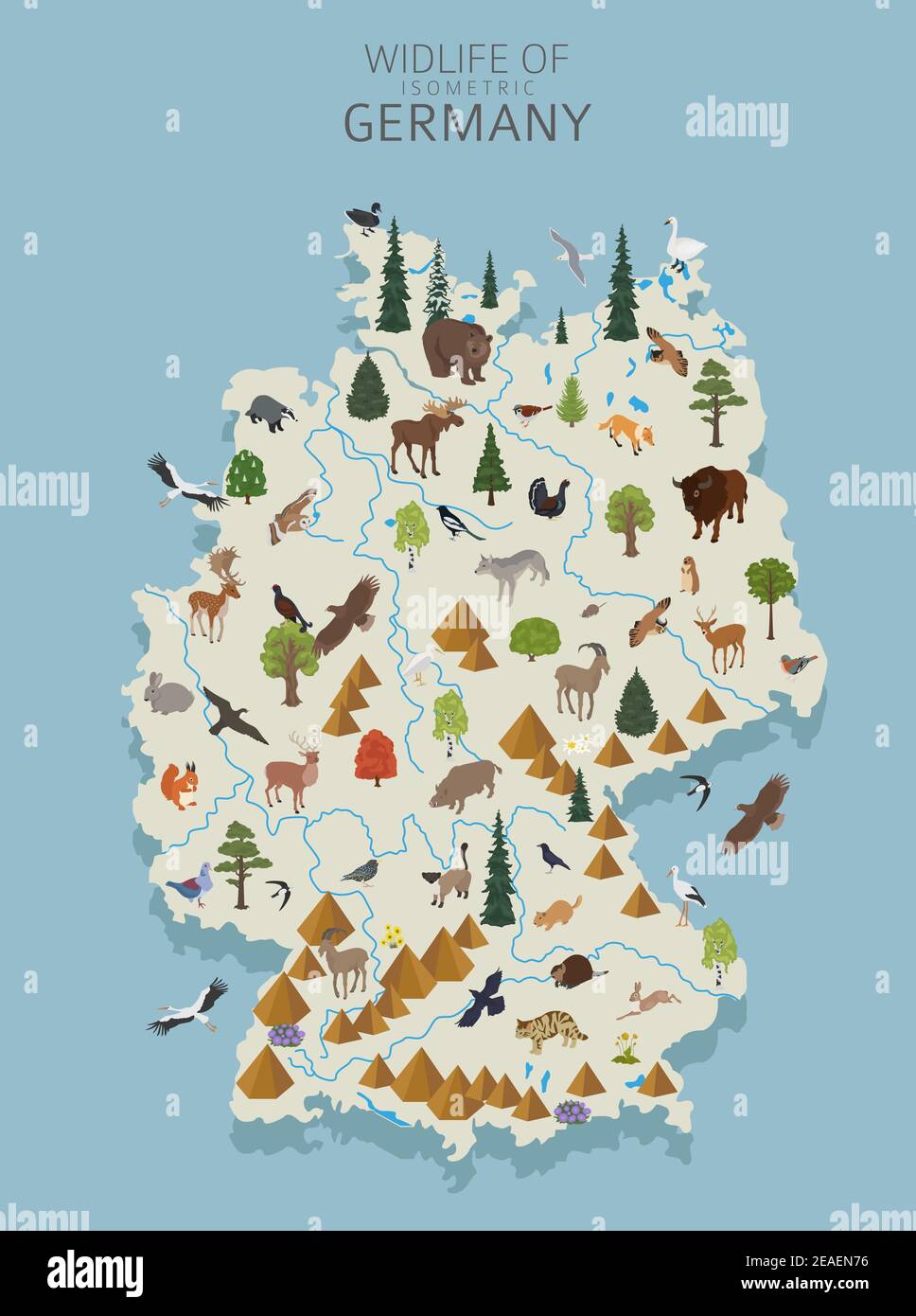 Isometric 3d design of Germany wildlife. Animals, birds and plants ...