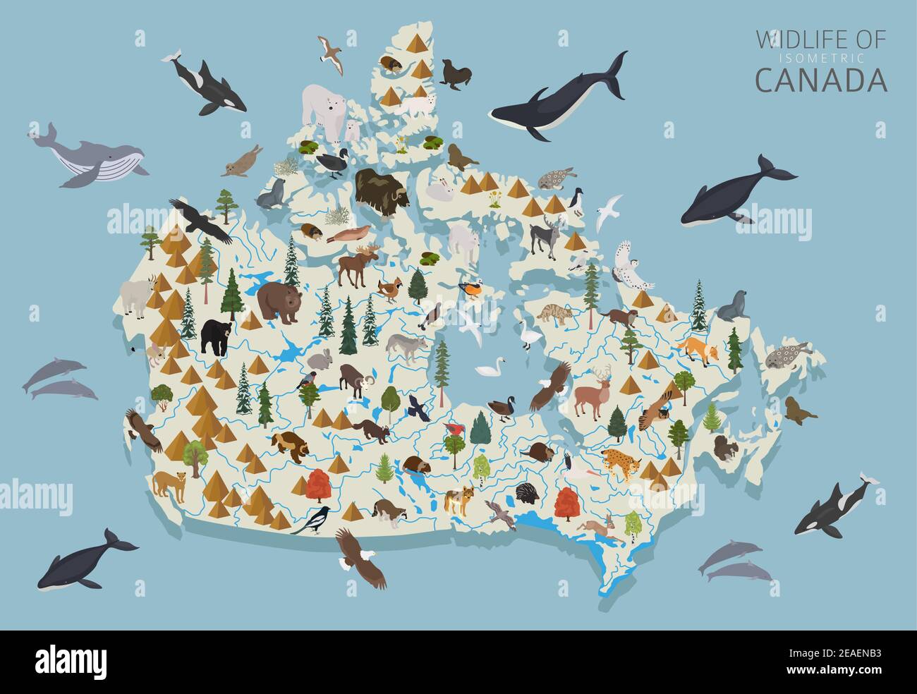 Isometric 3d design of Canada wildlife. Animals, birds and plants ...
