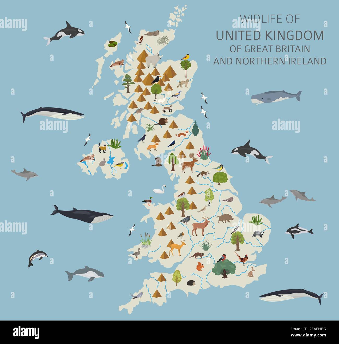 Woodland animals uk Stock Vector Images - Alamy