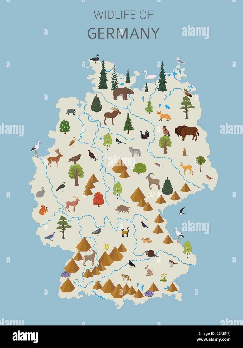 German woodland animal Stock Vector Images - Alamy