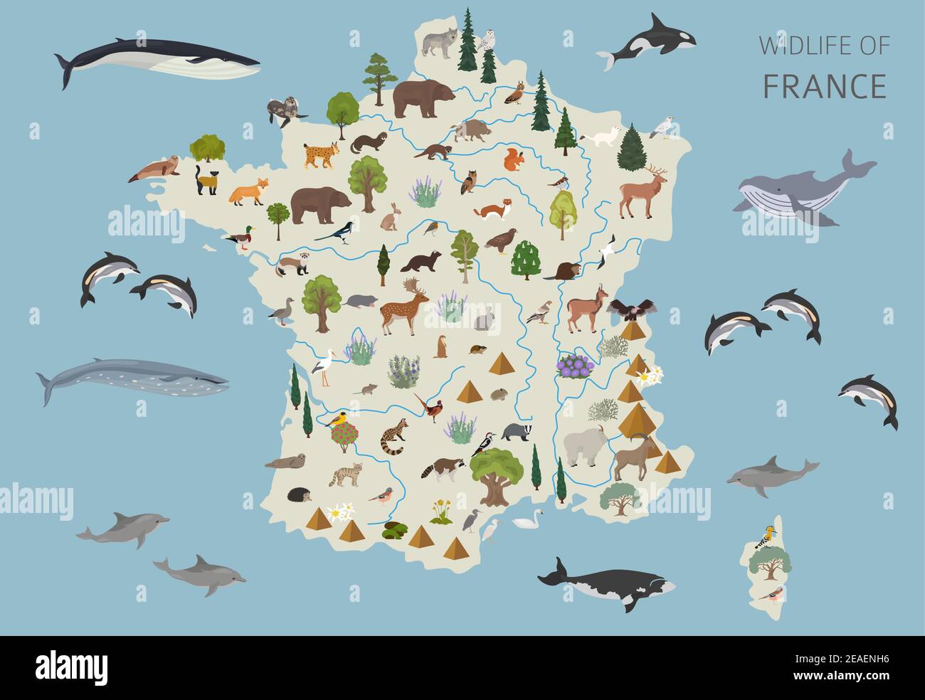 Flat design of France wildlife. Animals, birds and plants constructor ...