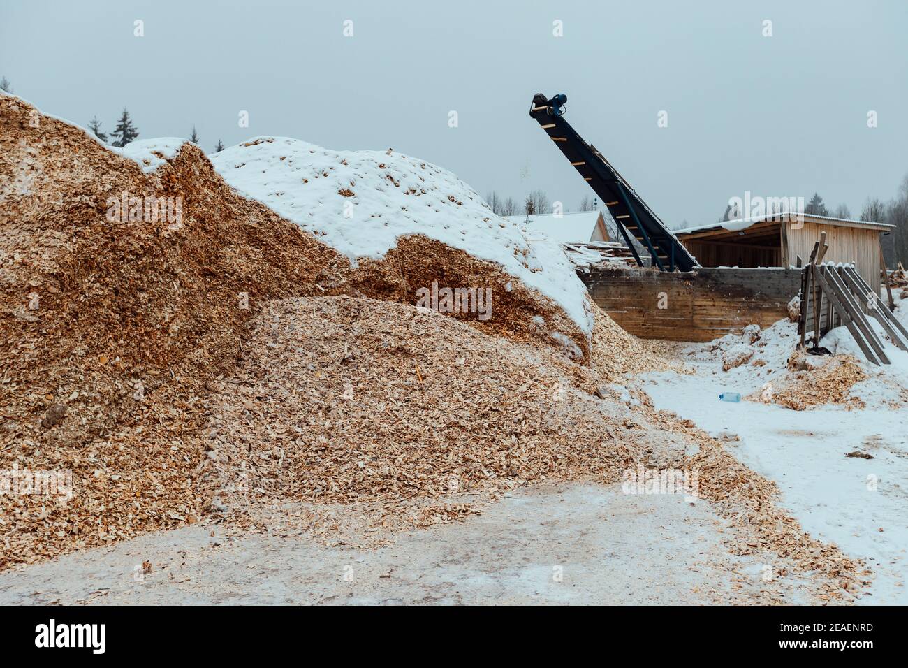 the sawdust conveyor works at a woodworking plant. production waste is ...