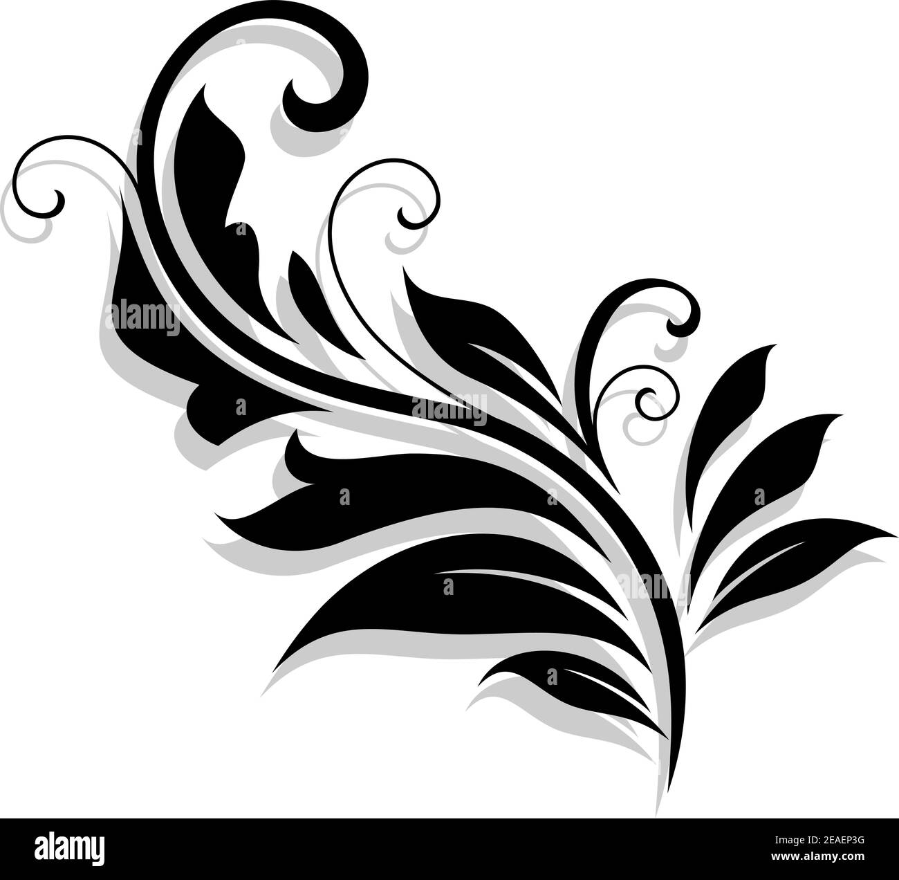 Decorative floral design element with shadow on white background Stock ...