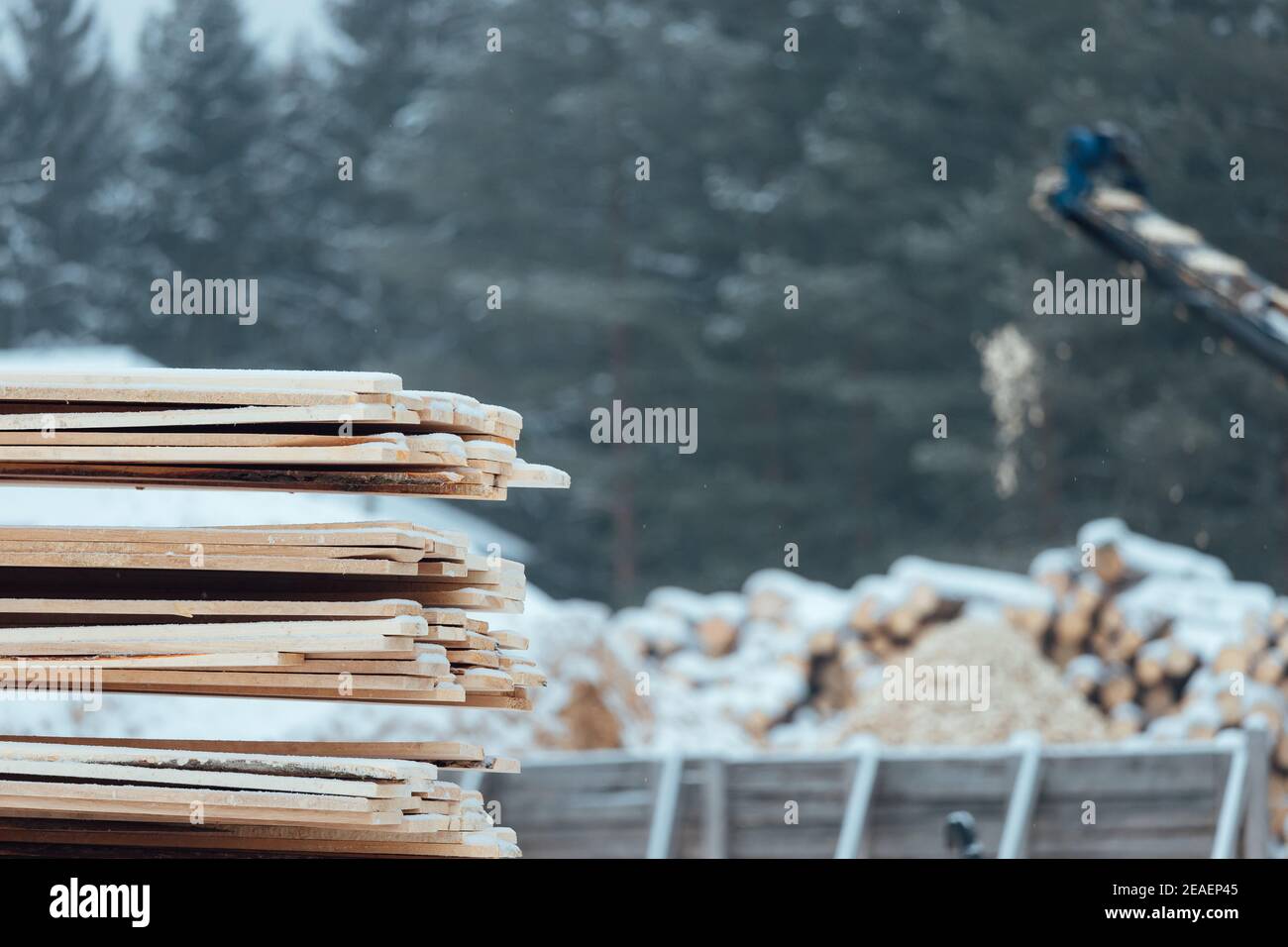 the sawdust conveyor works at a woodworking plant. production waste is ...