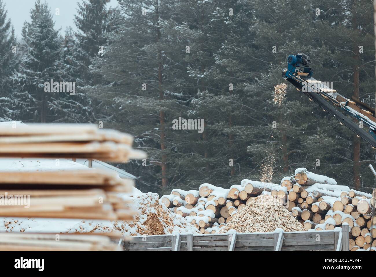 the sawdust conveyor works at a woodworking plant. production waste is ...