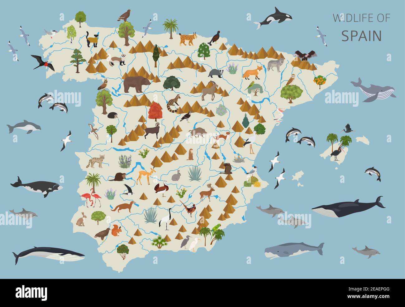 Flat design of Spain wildlife. Animals, birds and plants constructor ...