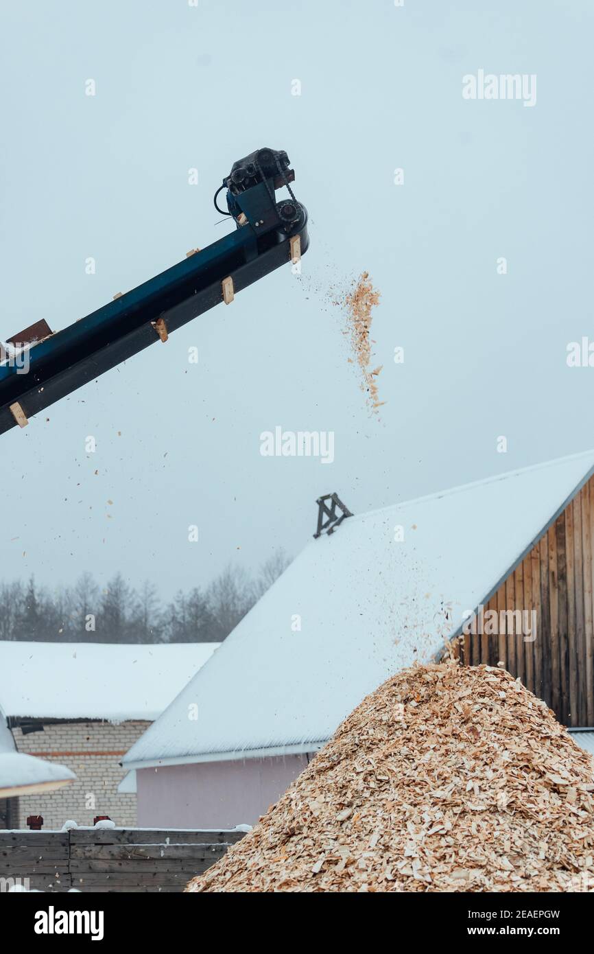 the sawdust conveyor works at a woodworking plant. production waste is ...