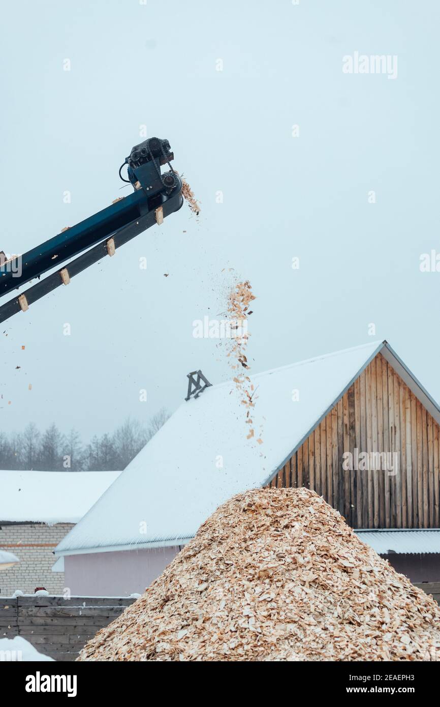 the sawdust conveyor works at a woodworking plant. production waste is ...