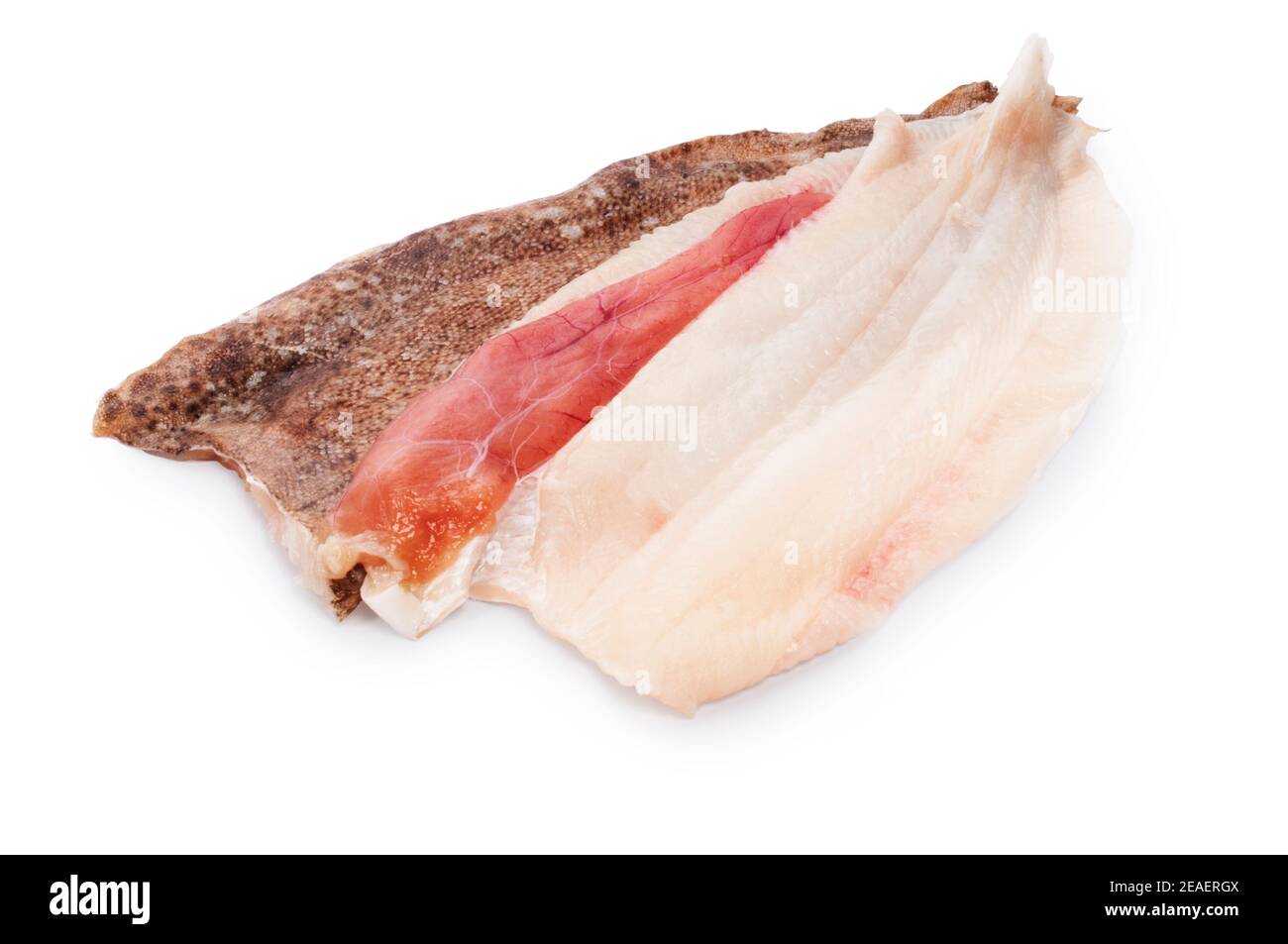 Studio shot of fillets of lemon sole cut out against a white background ...
