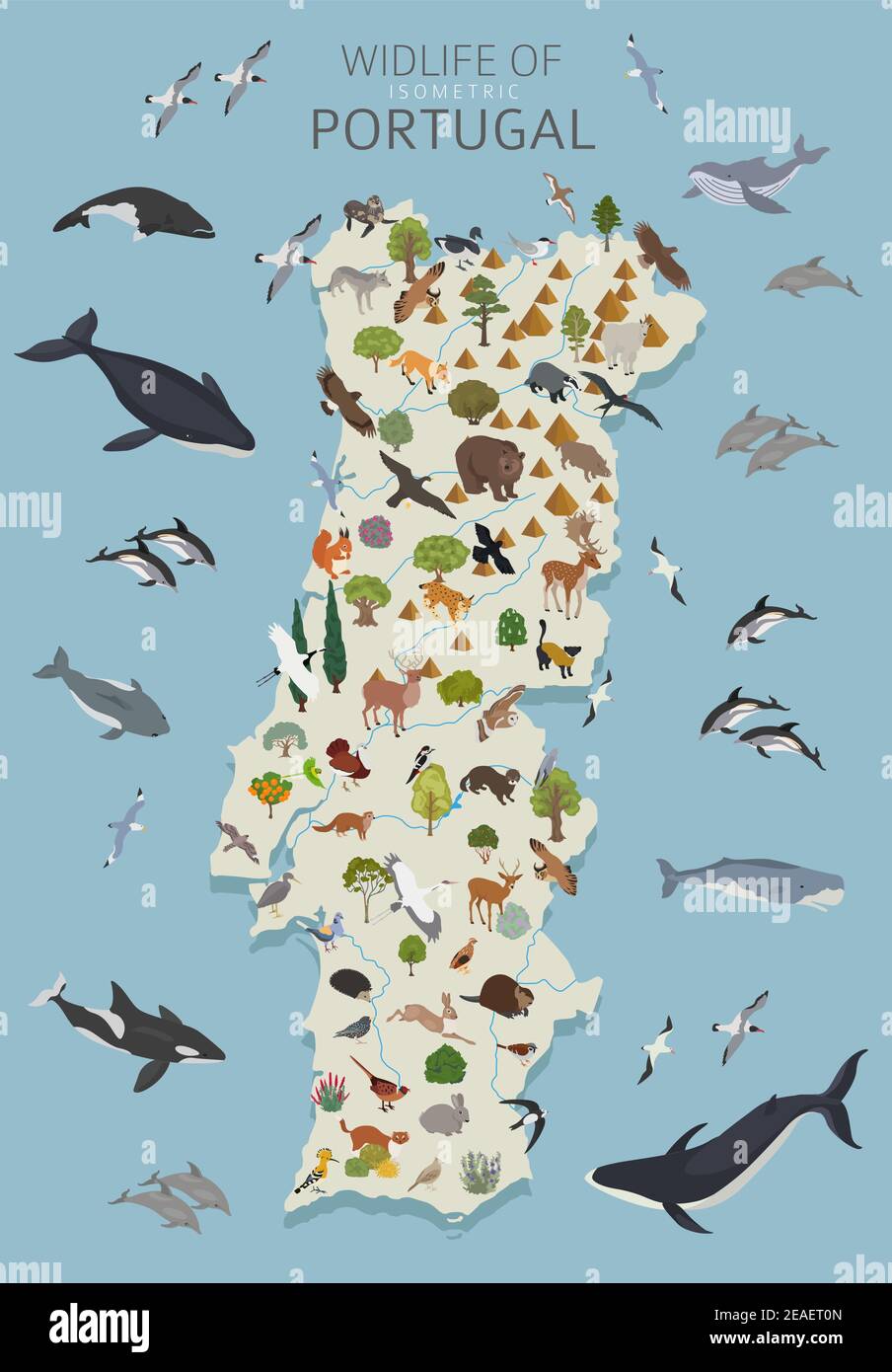 Fauna portugal Stock Vector Images - Alamy