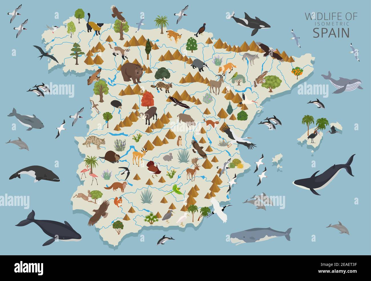 Isometric 3d design of Spain wildlife. Animals, birds and plants ...