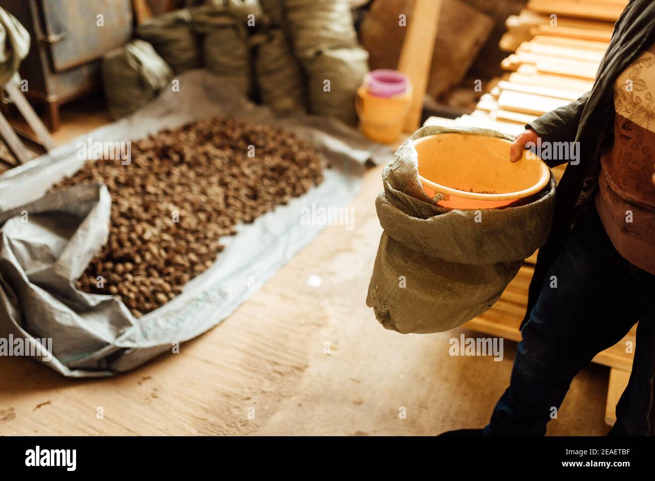 Breeding of new varieties hi-res stock photography and images - Alamy