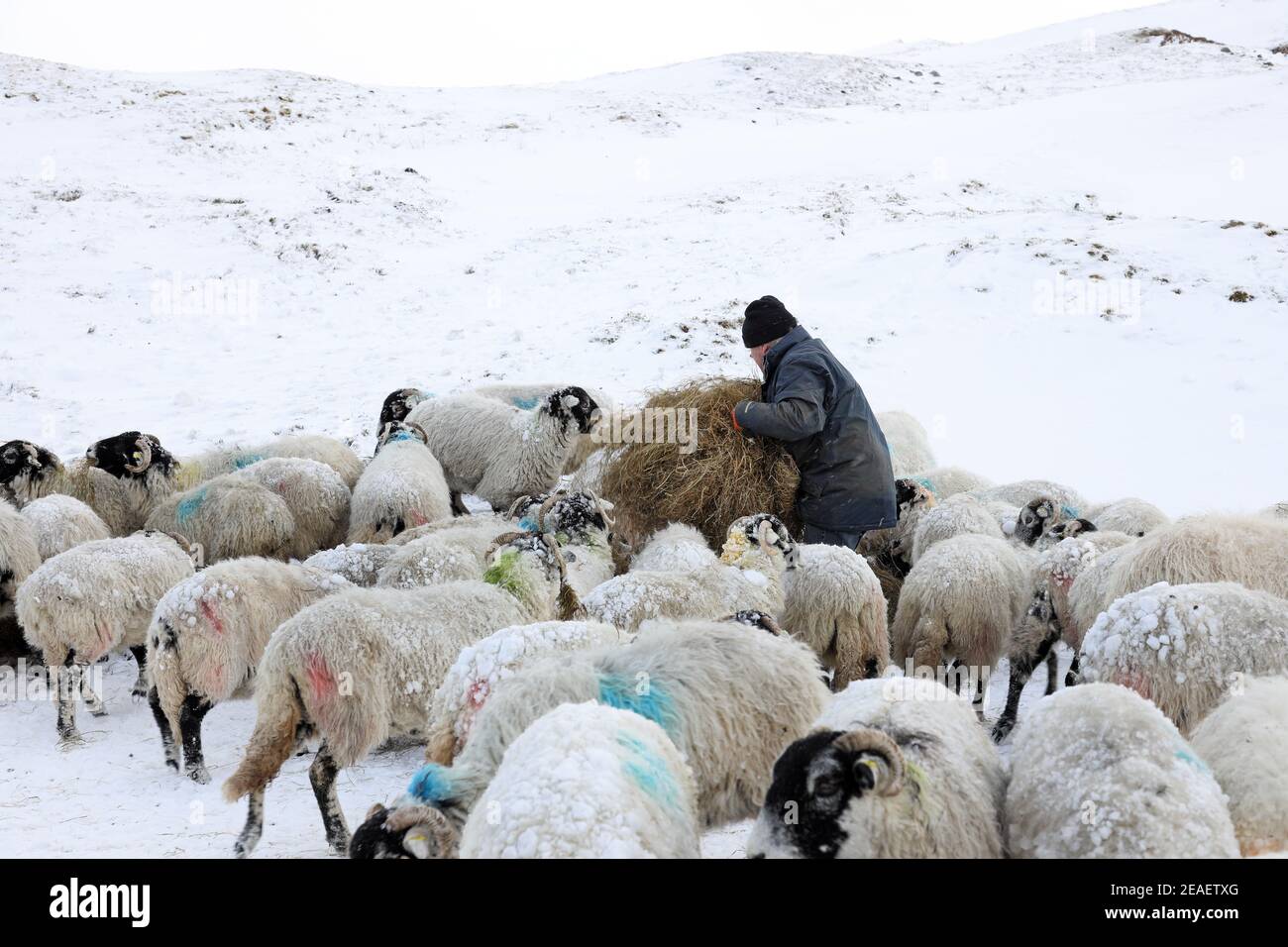 Richard betton hi-res stock photography and images - Alamy