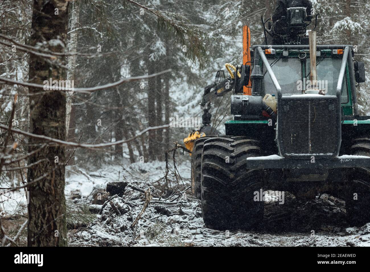 Rainforest logging harvester hi-res stock photography and images - Alamy