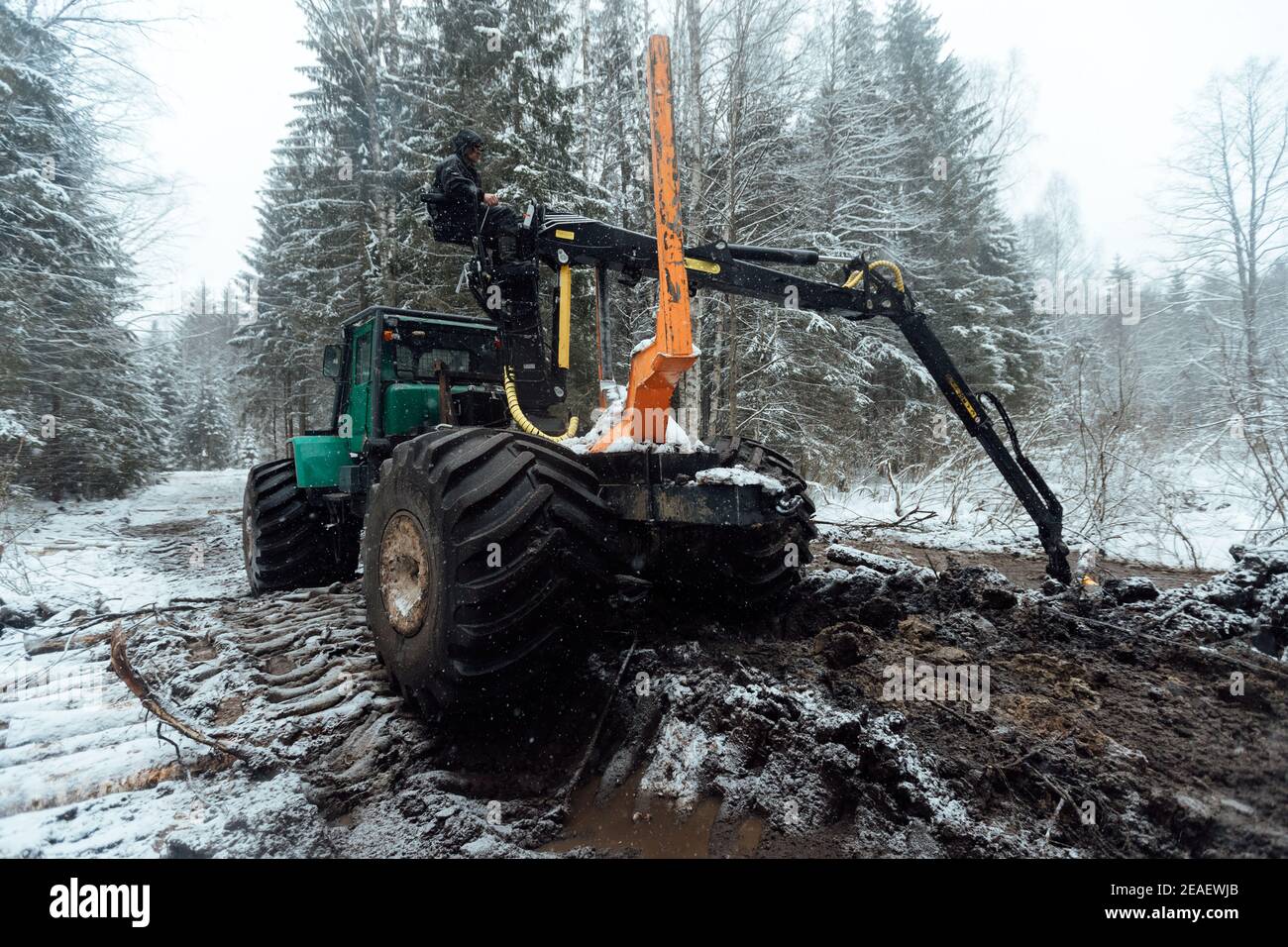 Cutting down tree rainforest hi-res stock photography and images - Alamy