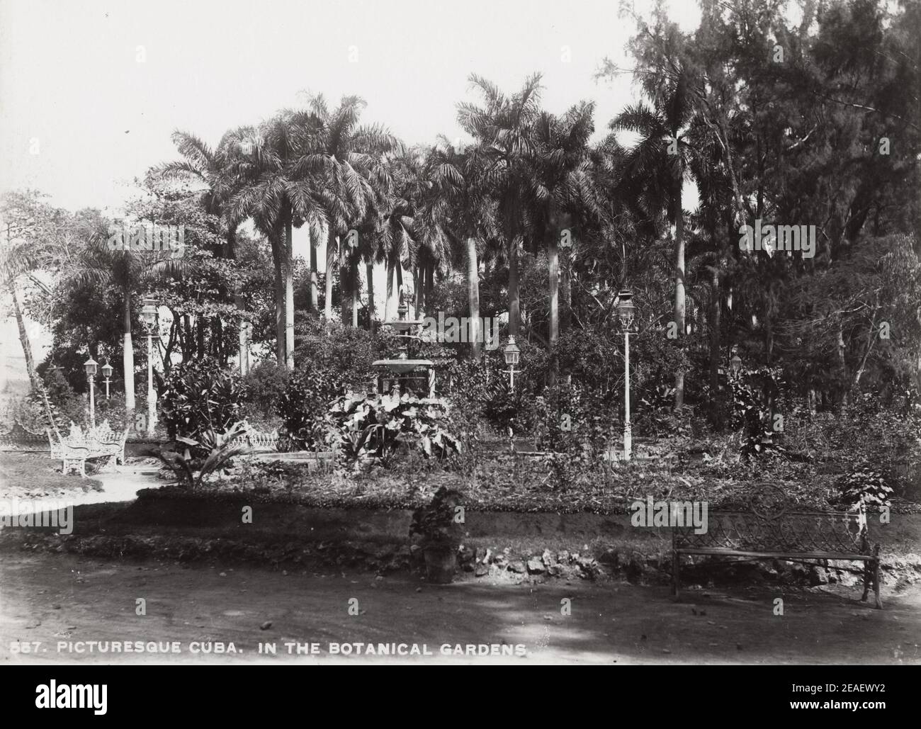 Cuba in the 19th century hi-res stock photography and images - Alamy