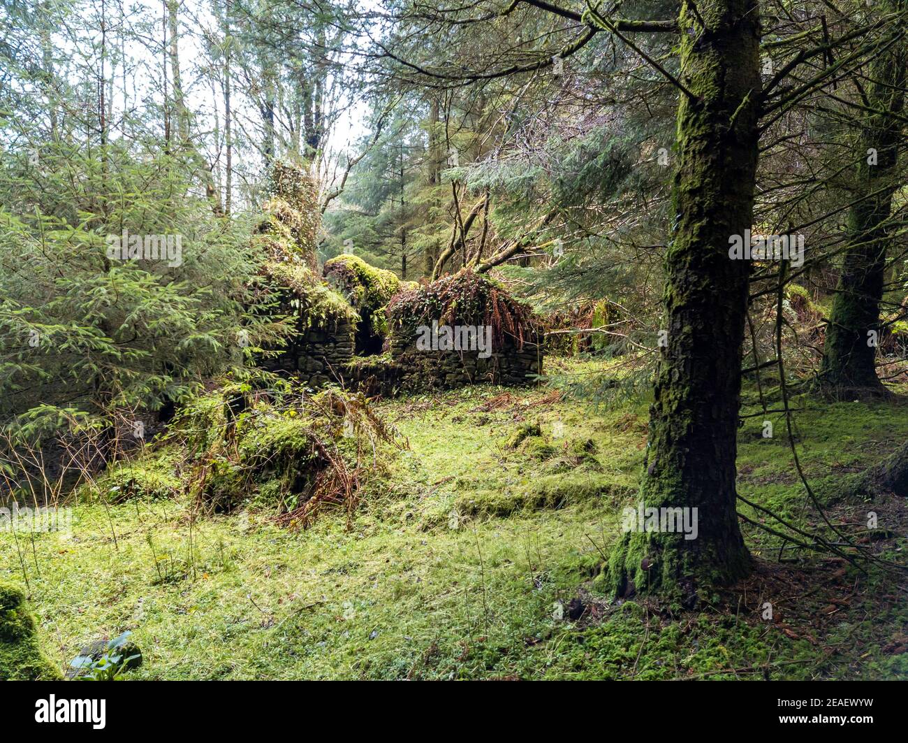 The beautiful landscape of Bonny Glen by Frosses in County Donegal ...