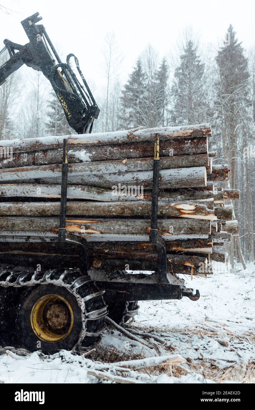 Timber carrier hi-res stock photography and images - Alamy