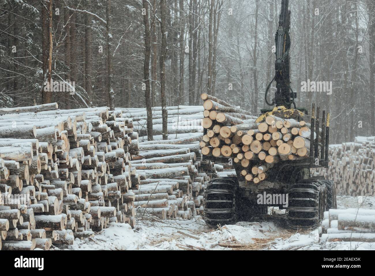Taiga deforestation hi-res stock photography and images - Alamy
