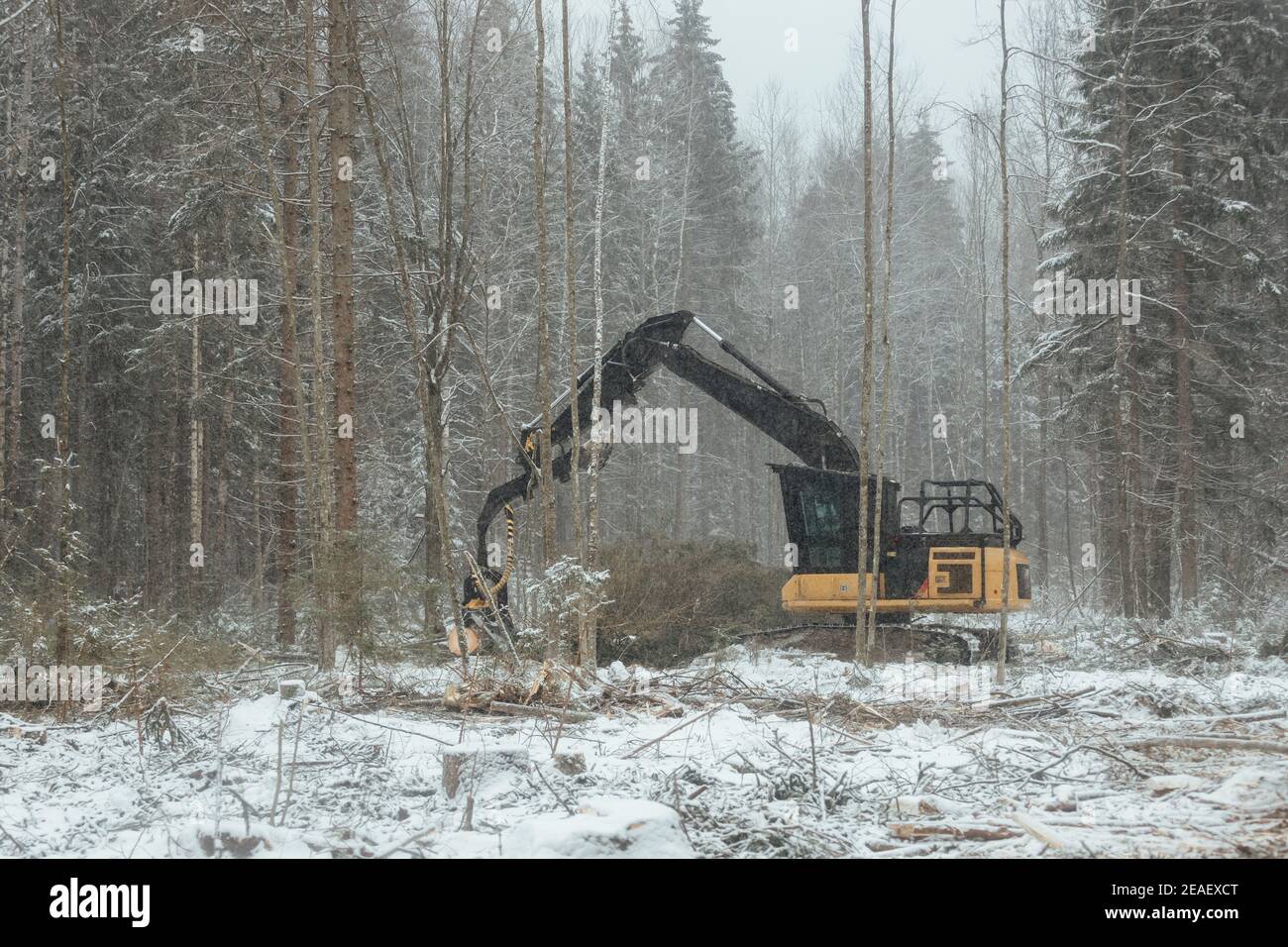 Rainforest logging harvester hi-res stock photography and images - Alamy