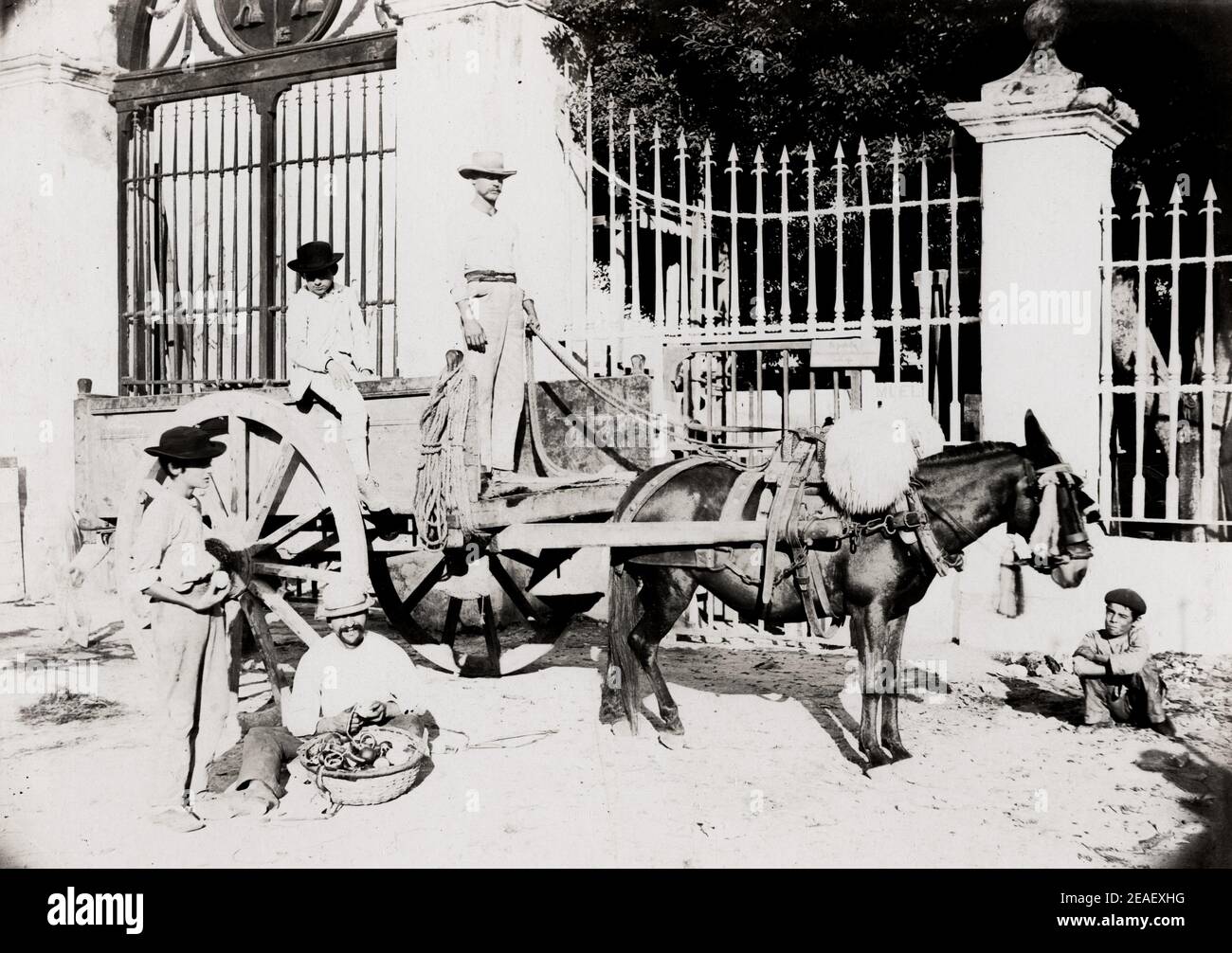 c.1900 photograph - Cuba: mule cart and rvier Stock Photo - Alamy
