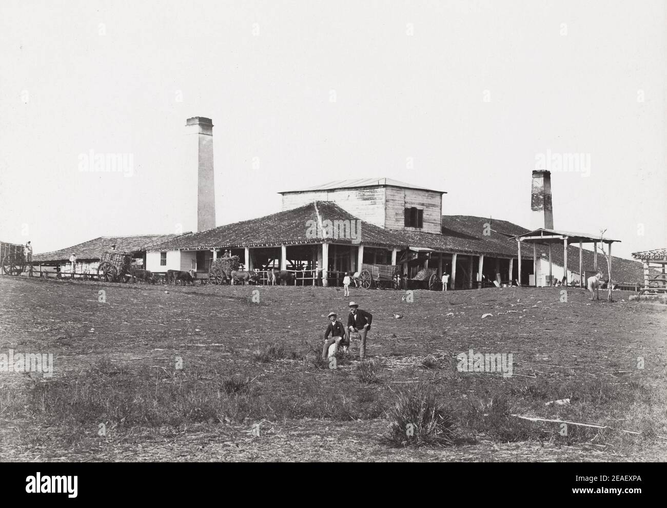 Sugar plantation 19th century hi-res stock photography and images - Alamy