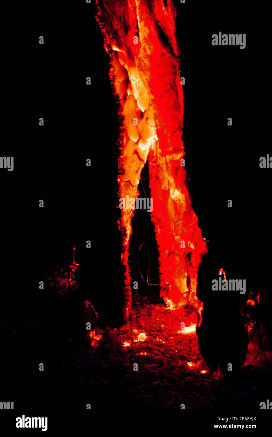 Smoke trunk hi-res stock photography and images - Alamy