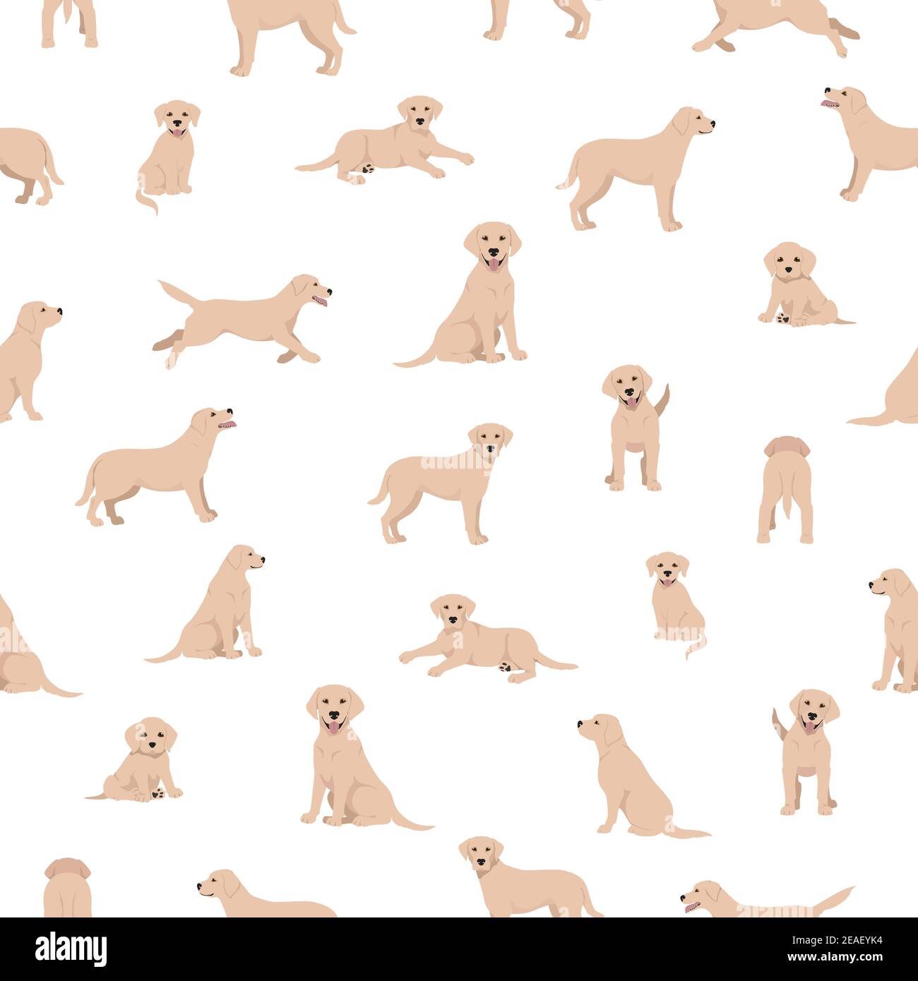 Labrador retriever dogs in different poses and coat colors. Seamless ...