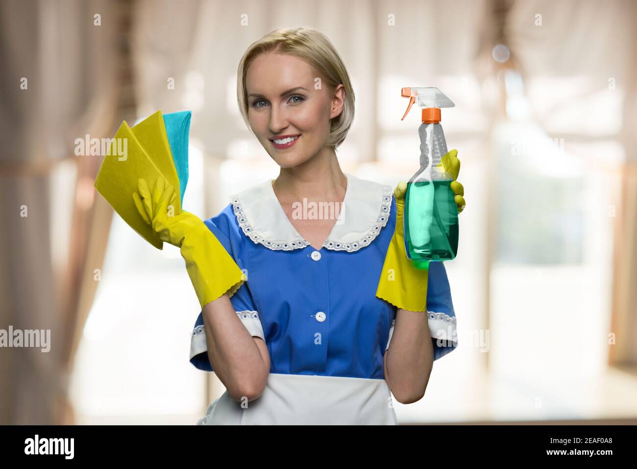 Cleaning lady is holding rags and detergent for cleaning Stock Photo ...