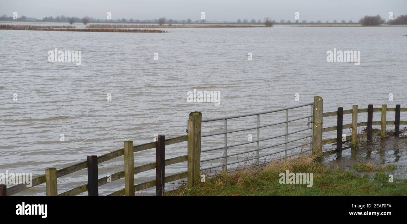 Nene washes hi-res stock photography and images - Alamy