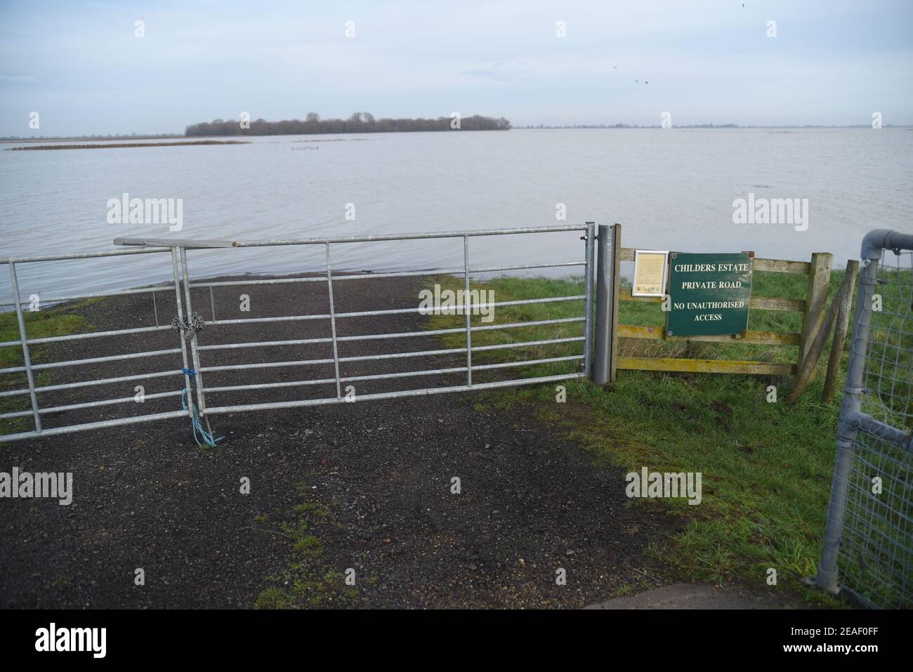 Nene washes hi-res stock photography and images - Alamy