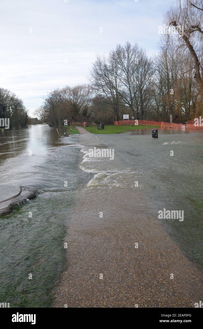 Nene washes hi-res stock photography and images - Alamy