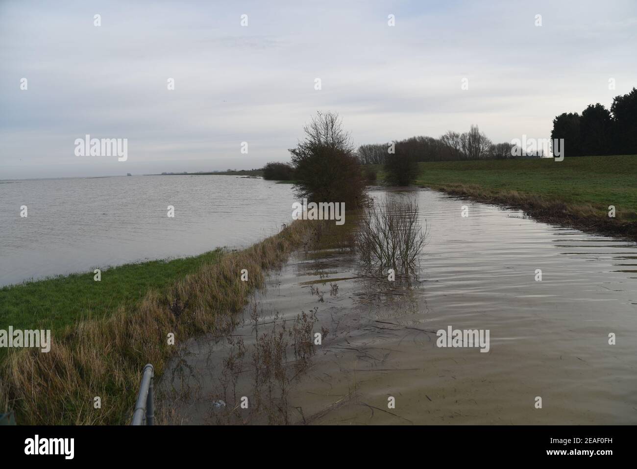 Nene washes hi-res stock photography and images - Alamy