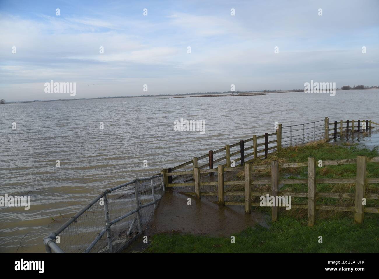 Nene washes hi-res stock photography and images - Alamy