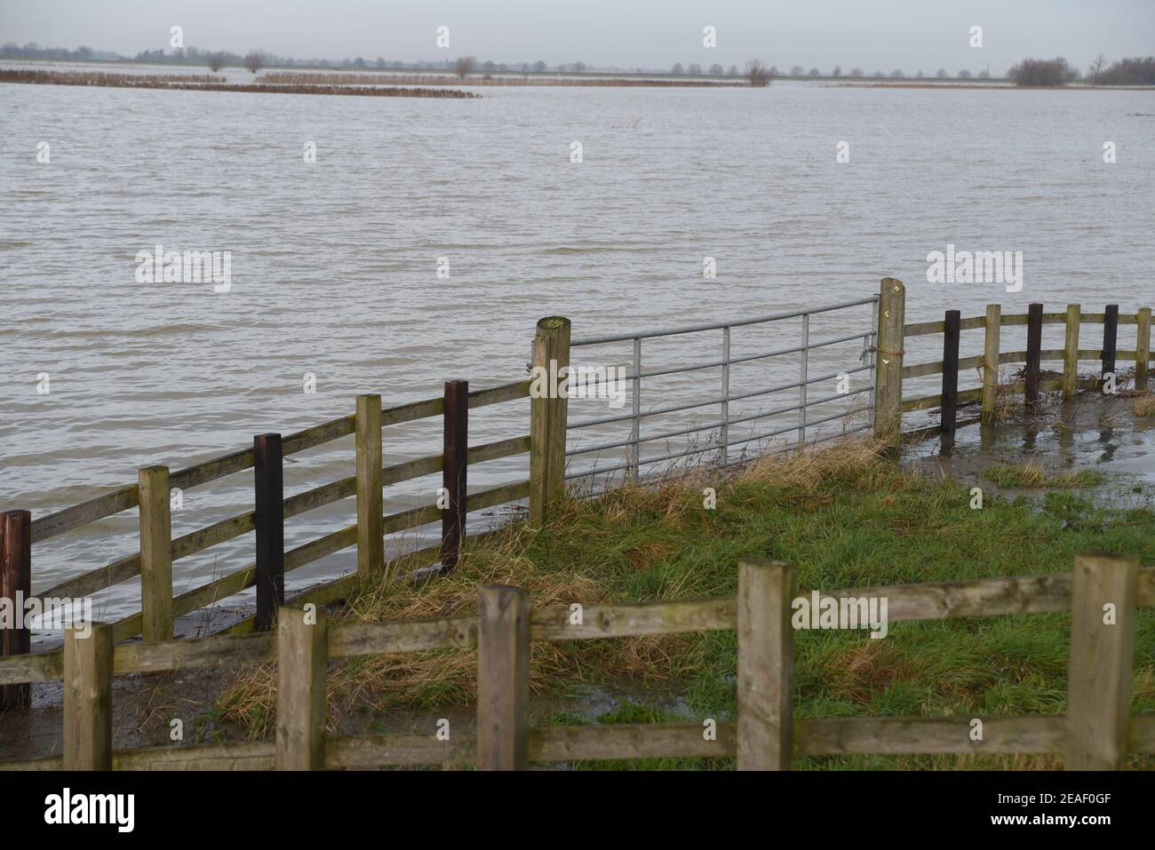 Nene washes hi-res stock photography and images - Alamy