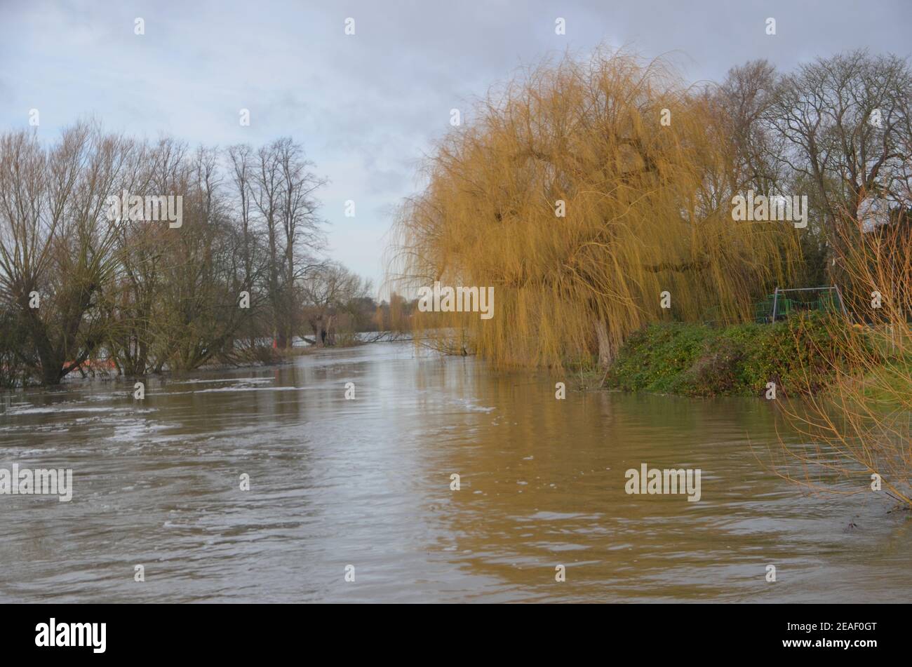 Nene washes hi-res stock photography and images - Alamy