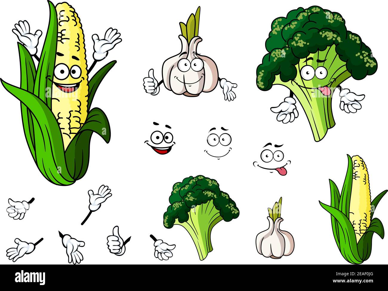 Broccoli, garlic and corn vegetables in cartoon style for bio food ...
