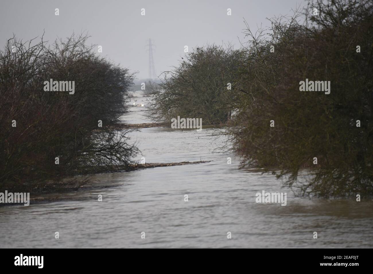 Nene washes hi-res stock photography and images - Alamy