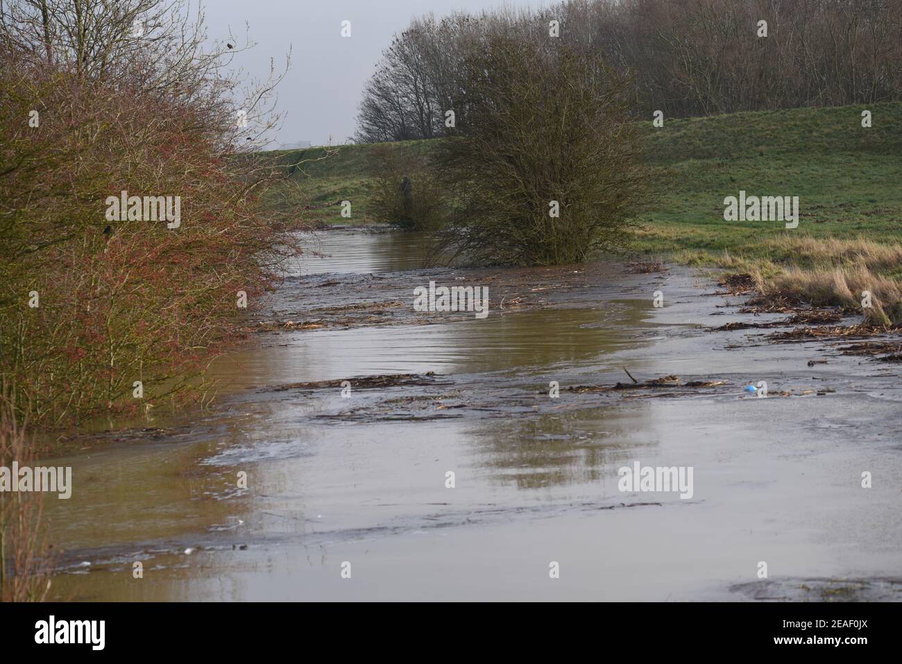 Nene Washes, Cambridgeshire Stock Photo - Alamy