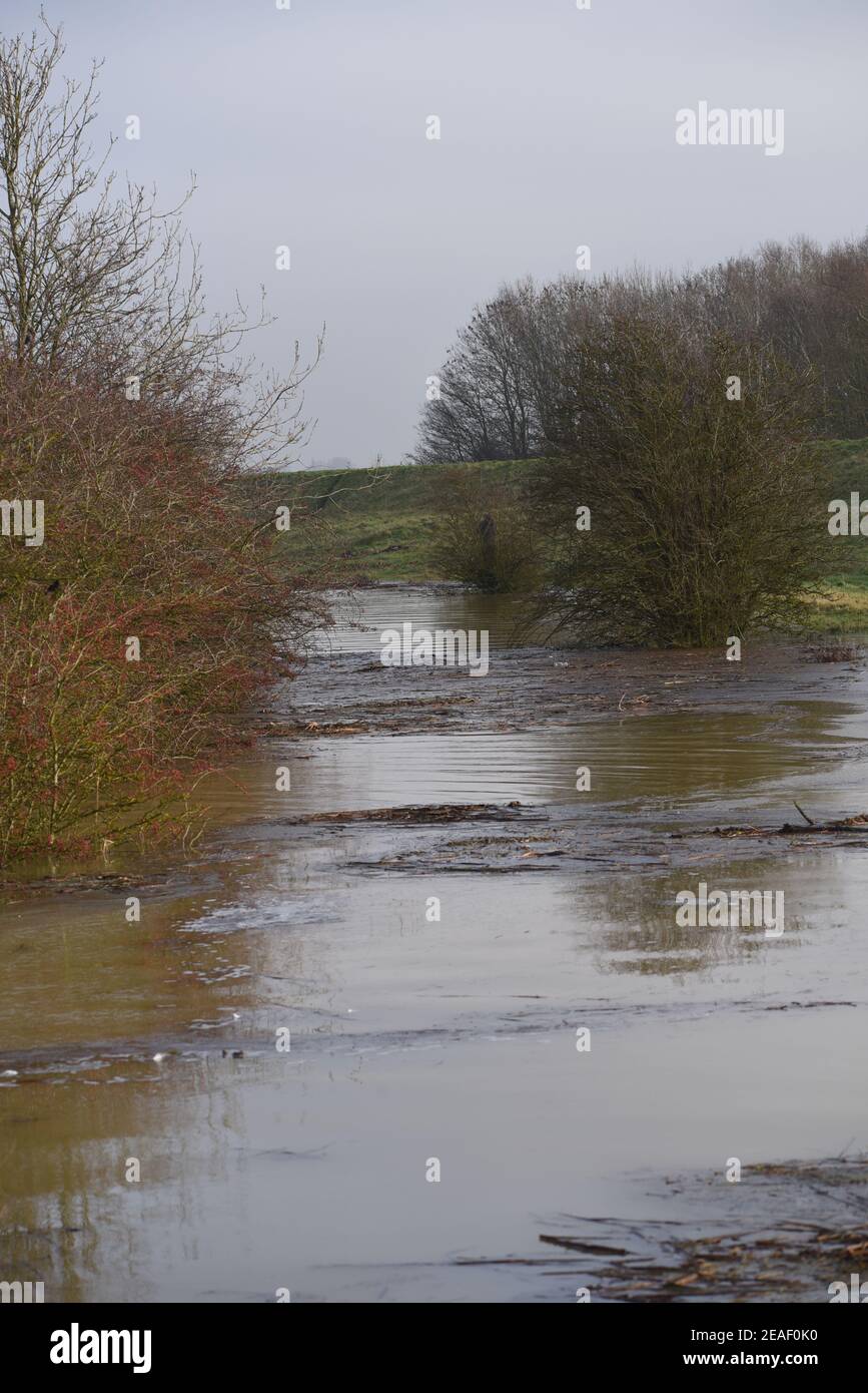 Nene Washes, Cambridgeshire Stock Photo - Alamy