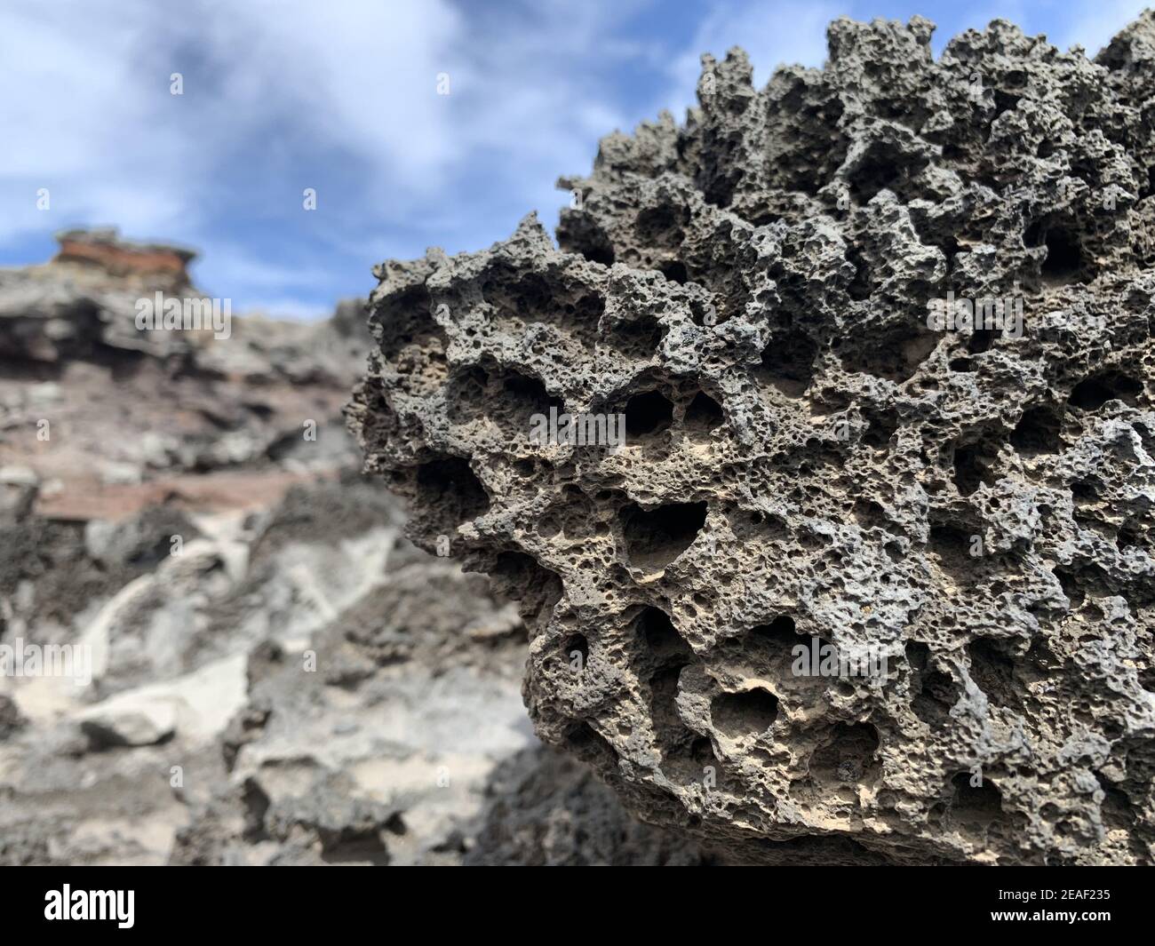 Nakalele Blowhole emerging from the natural volcanic rock landscape on ...