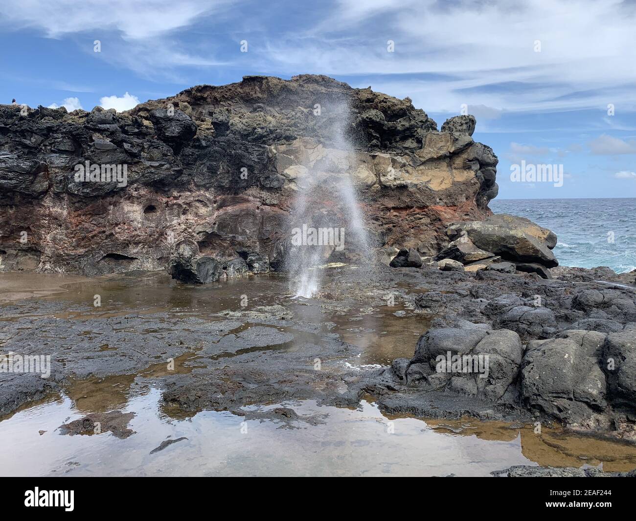 Nakalele Blowhole emerging from the natural volcanic rock landscape on ...