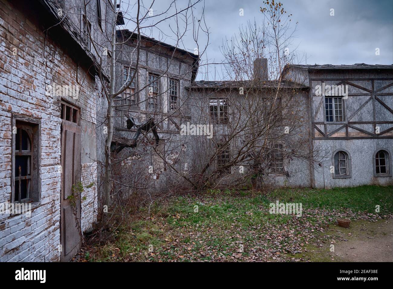 Old yard overgrown with trees and bushes with houses in the style of ...