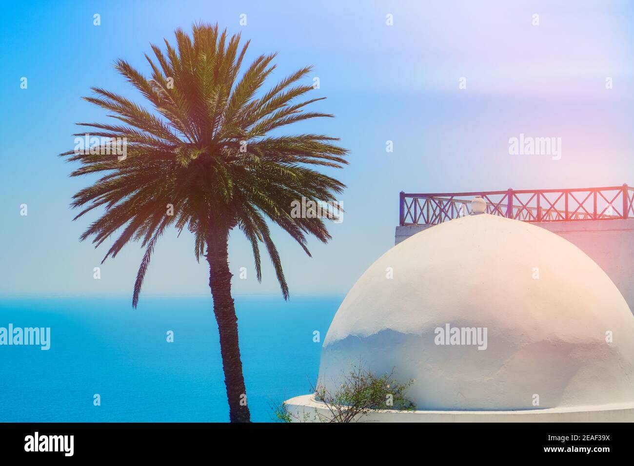 The semicircular roof of the Arabic building, sea, sun and palm tree in ...