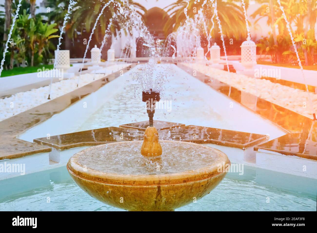 Arab fountain with clean water in Tunisia. Water next to green palm ...